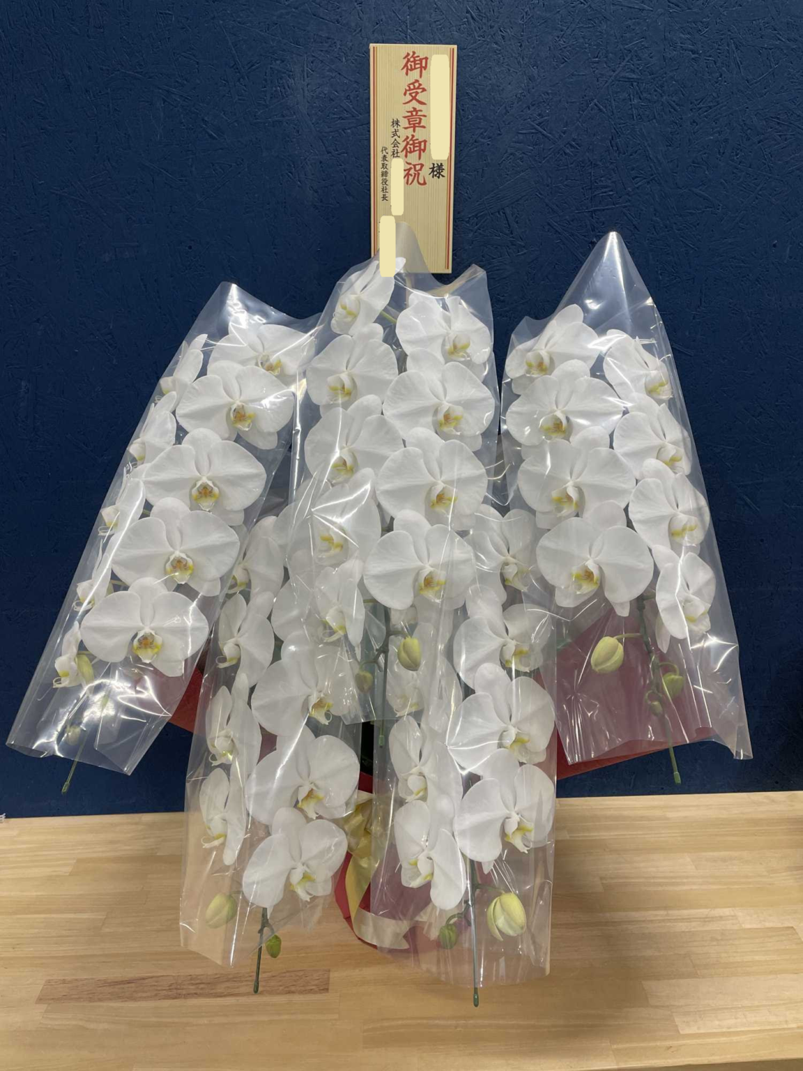 【レビューあり】Hana Prime（ハナプライム）の胡蝶蘭の口コミ・評判を徹底解説